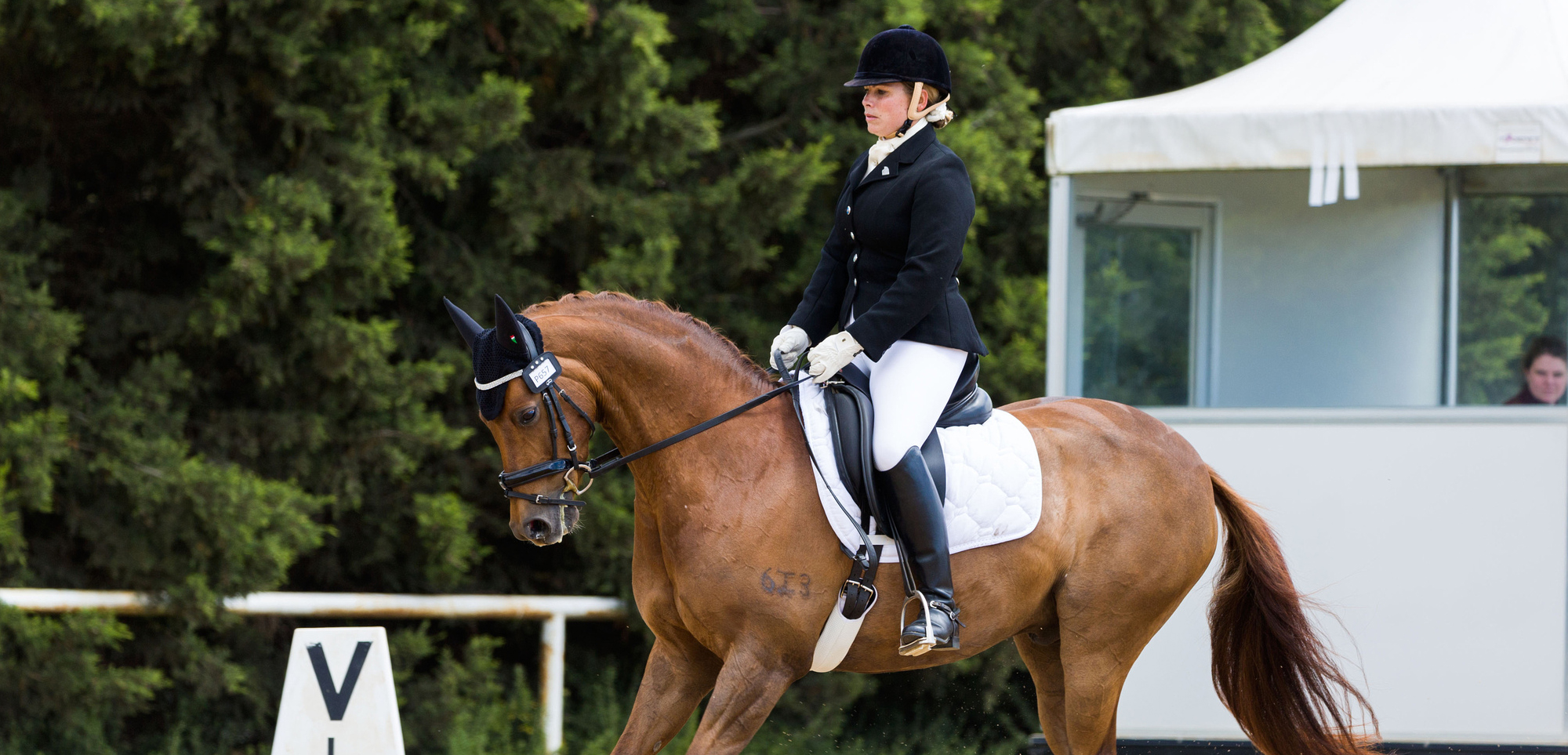 Kenzie Park - horse training, rider training, agistment, riding lessons ...